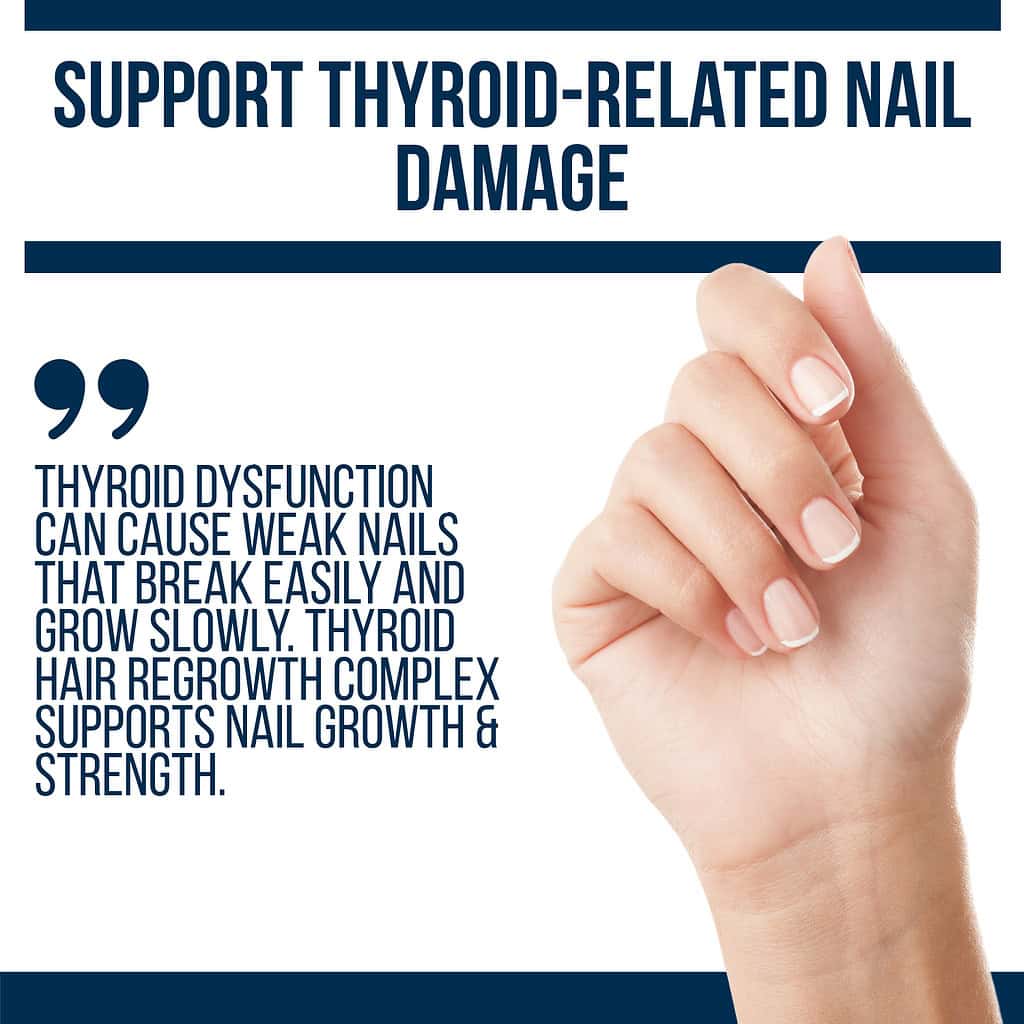 Thyroid Hair Regrowth Complex - Hair, Skin, & Nail Supplement