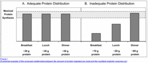 5 Reasons to use Organic Protein Powder + Which one to use