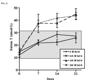 hCG for Men - How to use it to Enhance Testosterone Levels