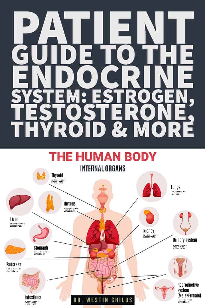 A Patient Guide to the Endocrine System: Hormones, Glands & More