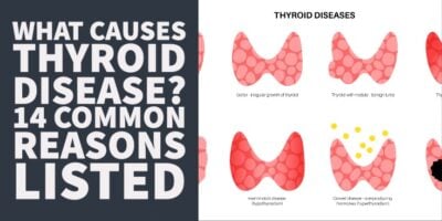 What Causes Thyroid Disease? 14 Common Reasons Listed