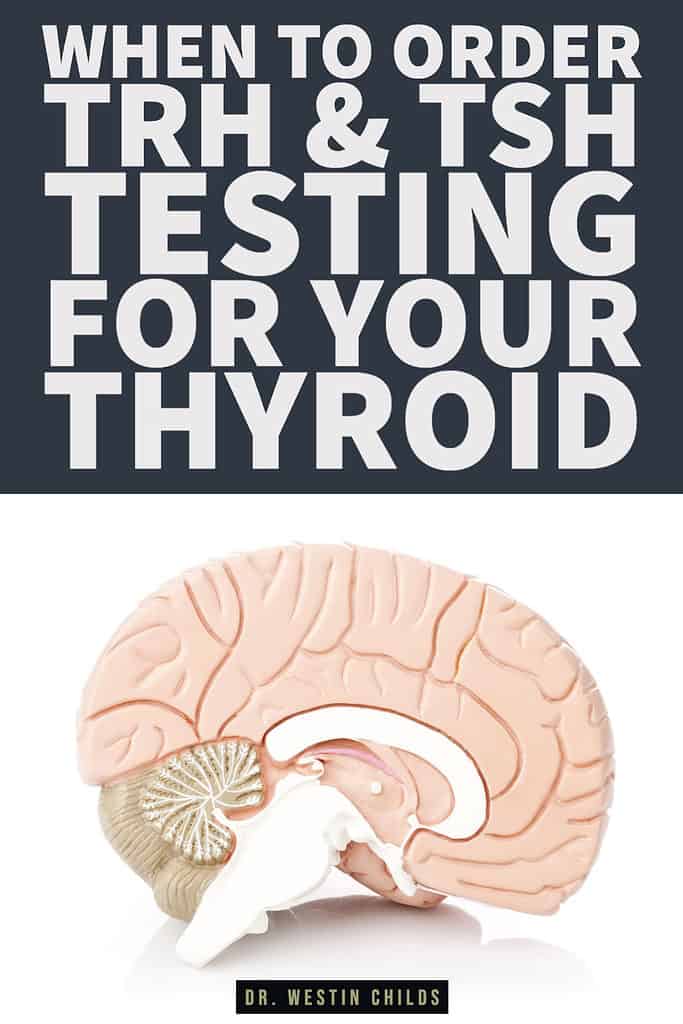 TRH and TSH: How they Impact Thyroid Function & More