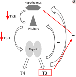 What Your Low TSH Means With Thyroid Medication & Without