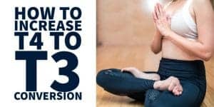 T4 to T3 Conversion: Factors That Decrease Thyroid Function