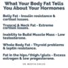 Body Fat Hormone Guide: What Your Body Fat Is Telling You