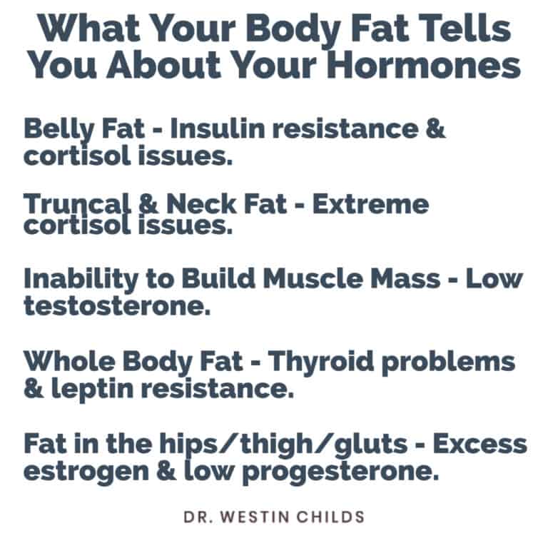 Body Fat Hormone Guide: What Your Body Fat Is Telling You