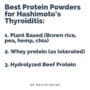 The Best Protein Powders For Hashimoto’s: Which to Use & Avoid