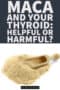 Maca and Your Thyroid: Harmful or Helpful?