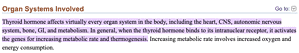 How to Get Rid of Thyroid-Related Belly Fat