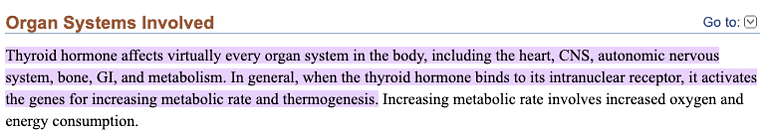 How to Get Rid of Thyroid-Related Belly Fat