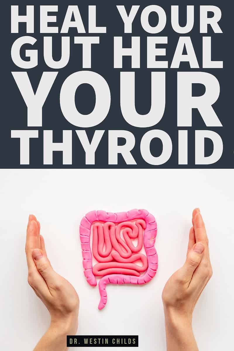 Increase Thyroid Function by 20%+ By Healing Your Gut